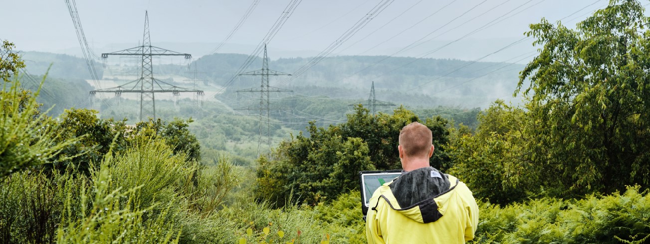 Blackout durch Bäume an Leitungen: Wie Amprion vorbeugt
